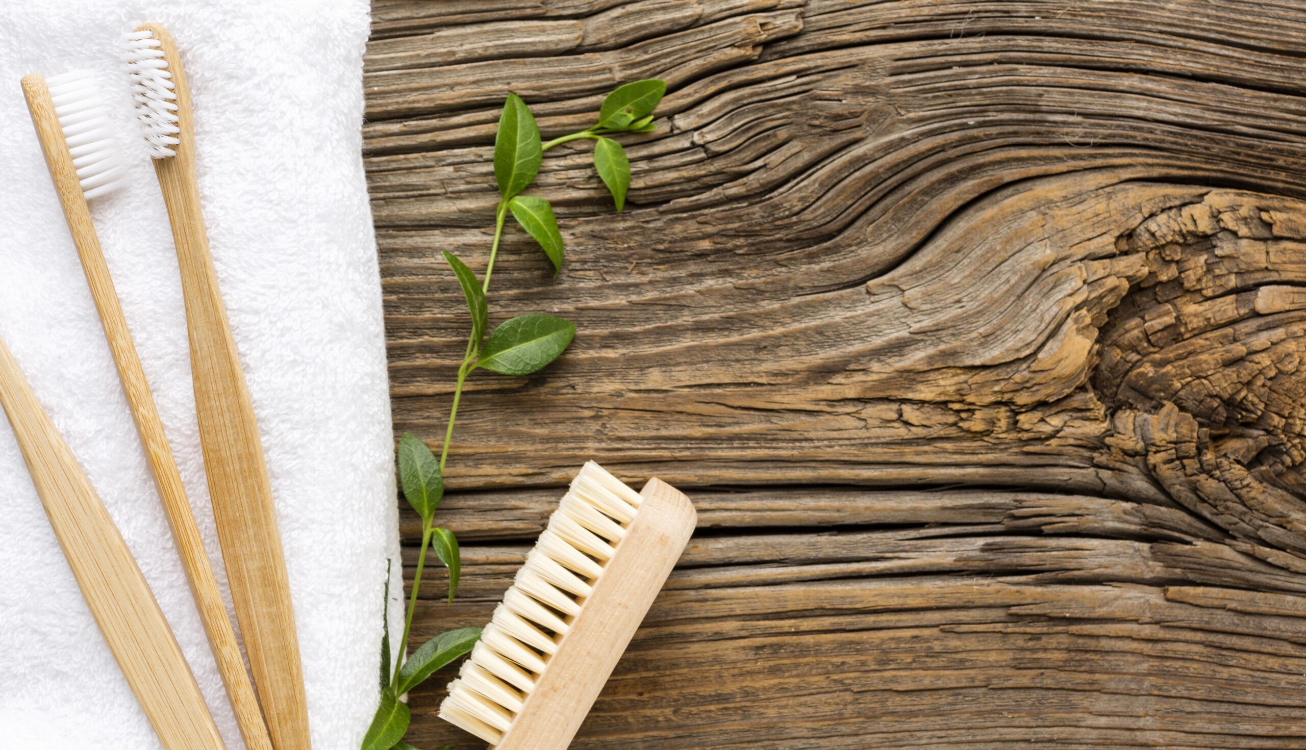Eco-Friendly Dental Practices for a Greener November - The Holistic ...